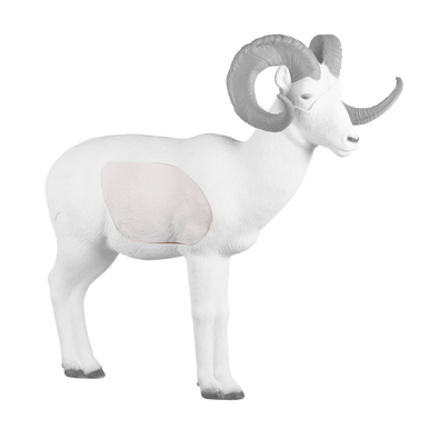 Standing Dall Sheep Insert - Rinehart Targets