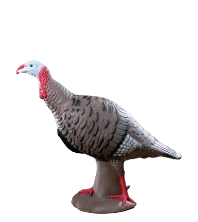 Signature Tom Turkey - Rinehart Targets