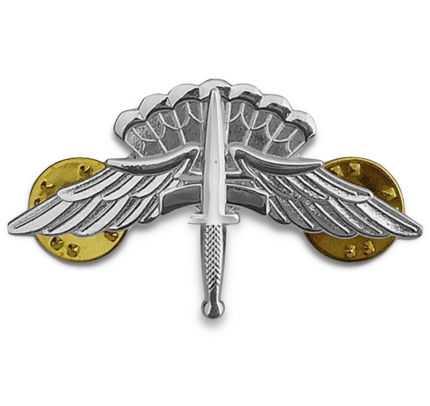 Military Free Fall Parachute (HALO Wings) Badge - Military Depot