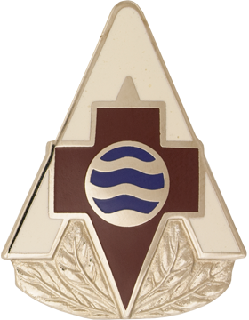 75th Combat Support Hospital Unit Crest - Military Depot
