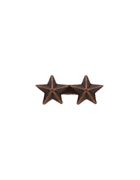 Bronze Double Star Device - Military Depot