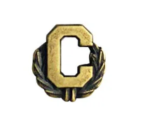 Bronze Wreathed C Device - Military Depot