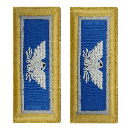 U.S. Army Military Intelligence Colonel Shoulder Boards - For Female ...