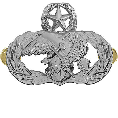 Air Force Logistics Readiness Badge - Military Depot