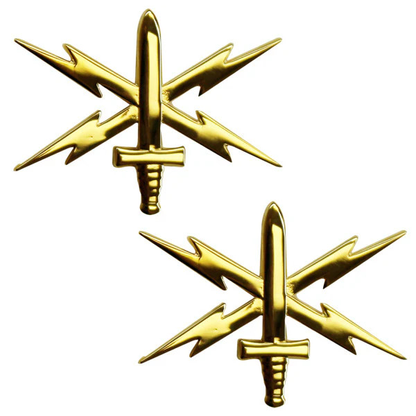 US Army Cyber Warfare Branch Insignia - Officer - Military Depot