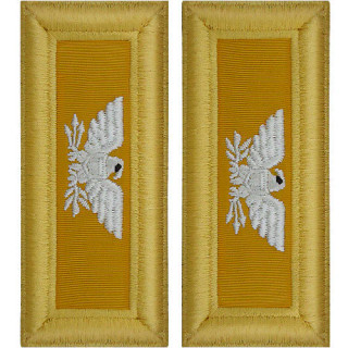 U.S. Army Armored Colonel Shoulder Boards - For Male Uniforms ...