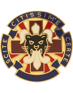 13th Combat Support Hospital Unit Crest - Military Depot