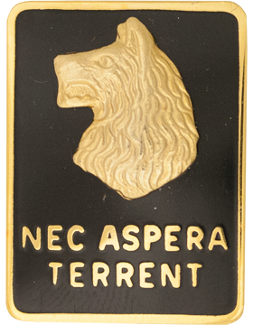 27th Infantry Division Right Unit Crest - Military Depot