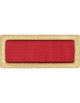 Army Meritorious Unit Citation Award (Includes Rack)