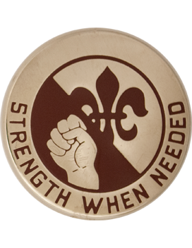 249th General Hospital Unit Crest - Military Depot