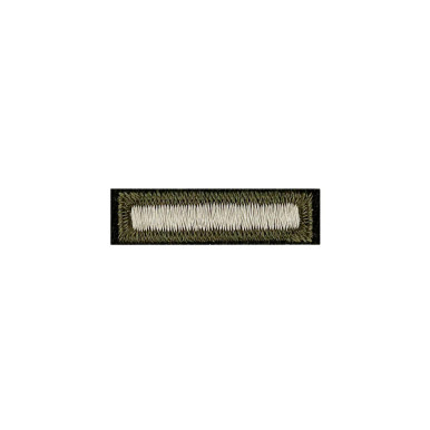 Army Green Service Uniform (AGSU) Overseas Service Stripes - Small ...