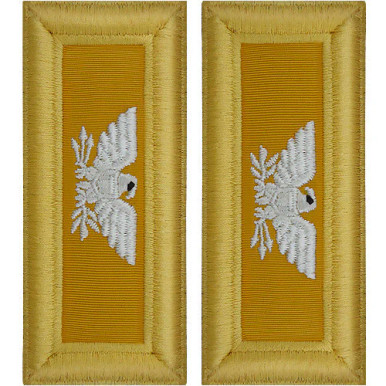 U.S. Army Armored Colonel Shoulder Boards - For Male Uniforms ...