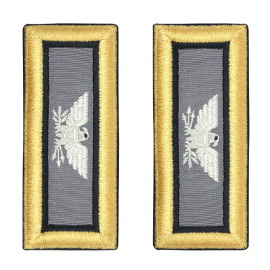 U.S. Army Cyber Warfare Colonel Shoulder Boards - For Male Uniforms ...