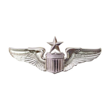 Regulation Senior Air Force Pilot Badge - Military Depot
