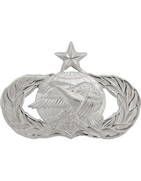 Senior Logistics Badge - Military Depot