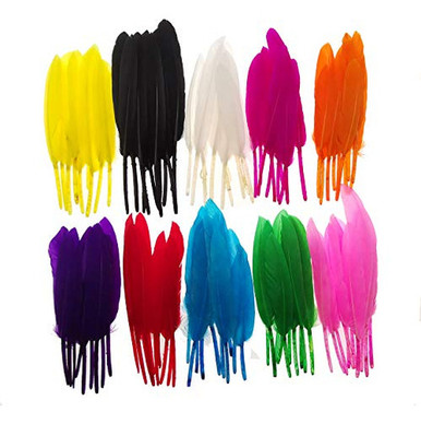Deco 79 Colorful Goose Feathers Pack of 100 Units in 10 Colors