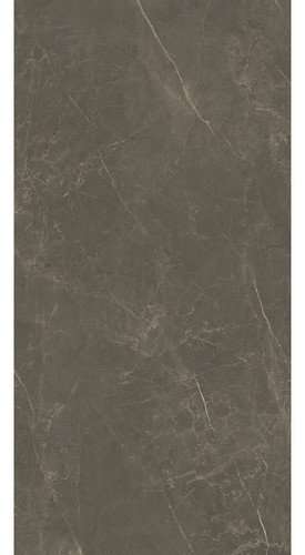 Portinari Castellon Brown Porcelain Floor/Wall Tile 80x160