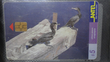 Antel Phone Card Uruguay - 1990s Ducks