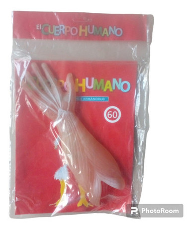 RBA Revista + Pieza Para Armar El Cuerpo Humano N 60