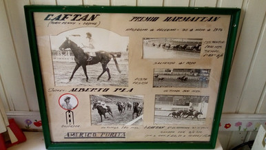 Generic Antique Turf Frame - Martínez