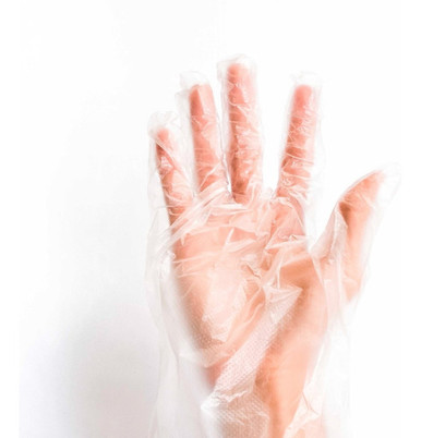 Talge Disposable Plastic Gloves Kit with 500 Units