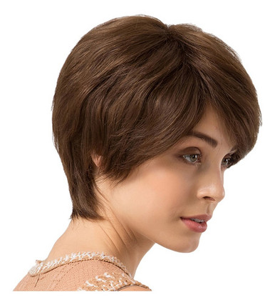 Generic Dark Brown Human Hair Wig for Women