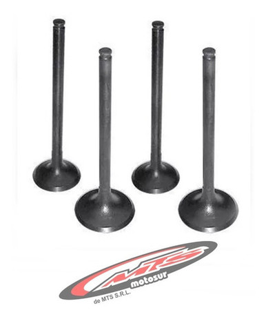 Dokuro Japan Valve Kit for Honda XR 600, XR 650, and NX 650 Motorcycles