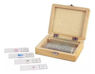 Celestron Microscope Slide Preparation Kit with 25 Samples