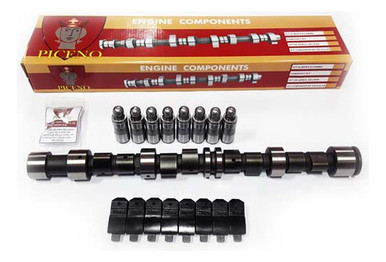 Ford Zetec 1.6 Rocam Camshaft Kit - Massi