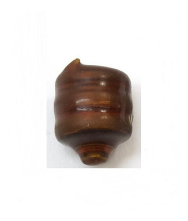 Bosch Pressure Control Valve for Mercedes Benz Fuel Injection