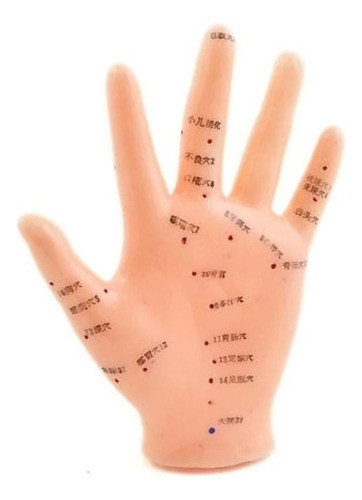Illuminator Acupuncture Hand Model for Practice 13cm Point