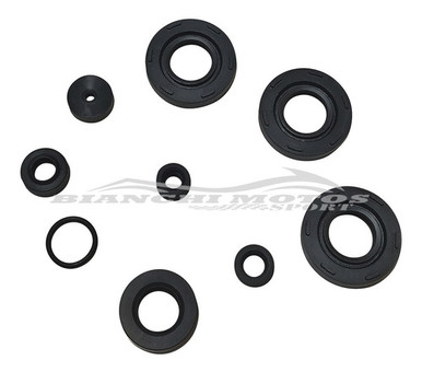 Bianchi Motos Suzuki 200 X5 Motor Seal Kit