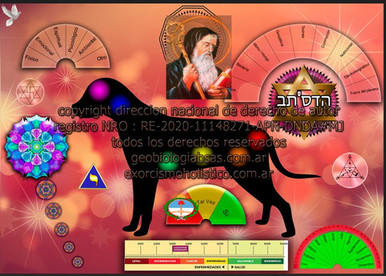 Cuentica Radionic Table for Dogs