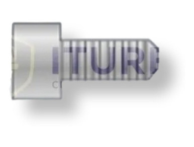 B+W Multi Unit Titanium Prosthetic Screw for Hex External Implant Byw