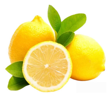 Vivero Simón Lemon Trees 4 Seasons Grafted