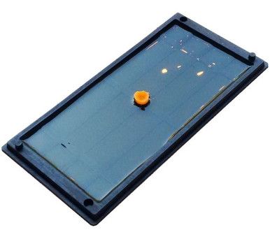 Acme 20 Adhesive Trap with Bait for Rats and Mice - Professional