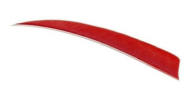 Truflight Natural Red Feathers 4 In. X Dozen Archery Arrow Fletch