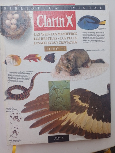 Visual Library of Clarín Volume 2