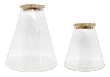 ByF Deco Set of 2 Cone Glass Vases with Wooden Lid