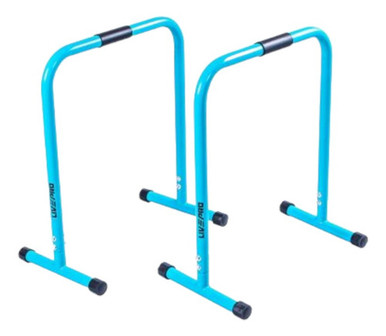 Livepro Parallel Bars for Push-Ups 150kg Gym Calisthenics