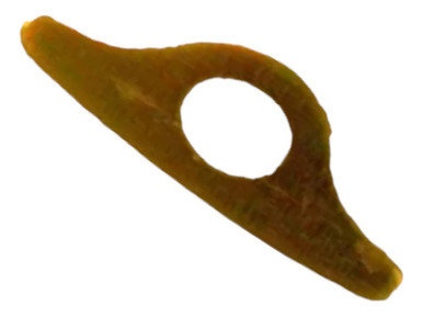 CHAJÁ Brake Shoe Guide Plate for Ford 100 / F100 / F 100 - JJ 779