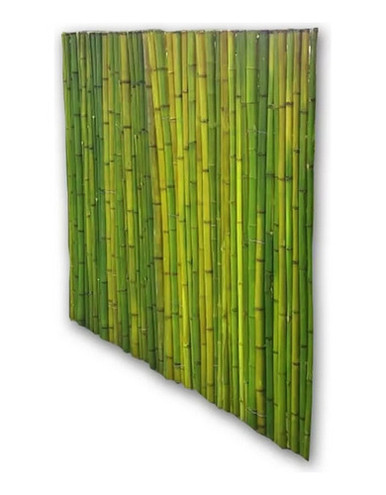 Buenos Aires Bambu Bamboo Cane Panel 1m x 1.20m Height