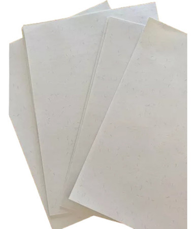 Autentic A4 Paper 120g x 125 Sheets for Invitations and Cards