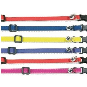 CAT COLLAR LINED BRIGHT - Pet World