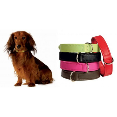 BOBBY ESCAPADE COLLAR GREEN/L - Pet World