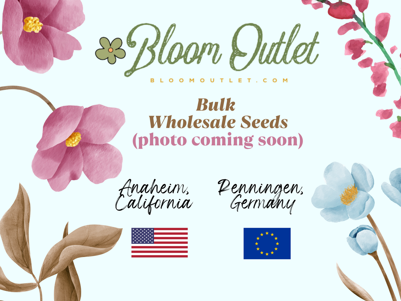 Bloom Outlet - Your Online Flower Seed Shop