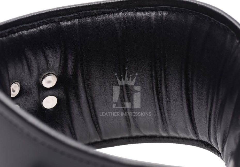 Locking Leather Posture Collar