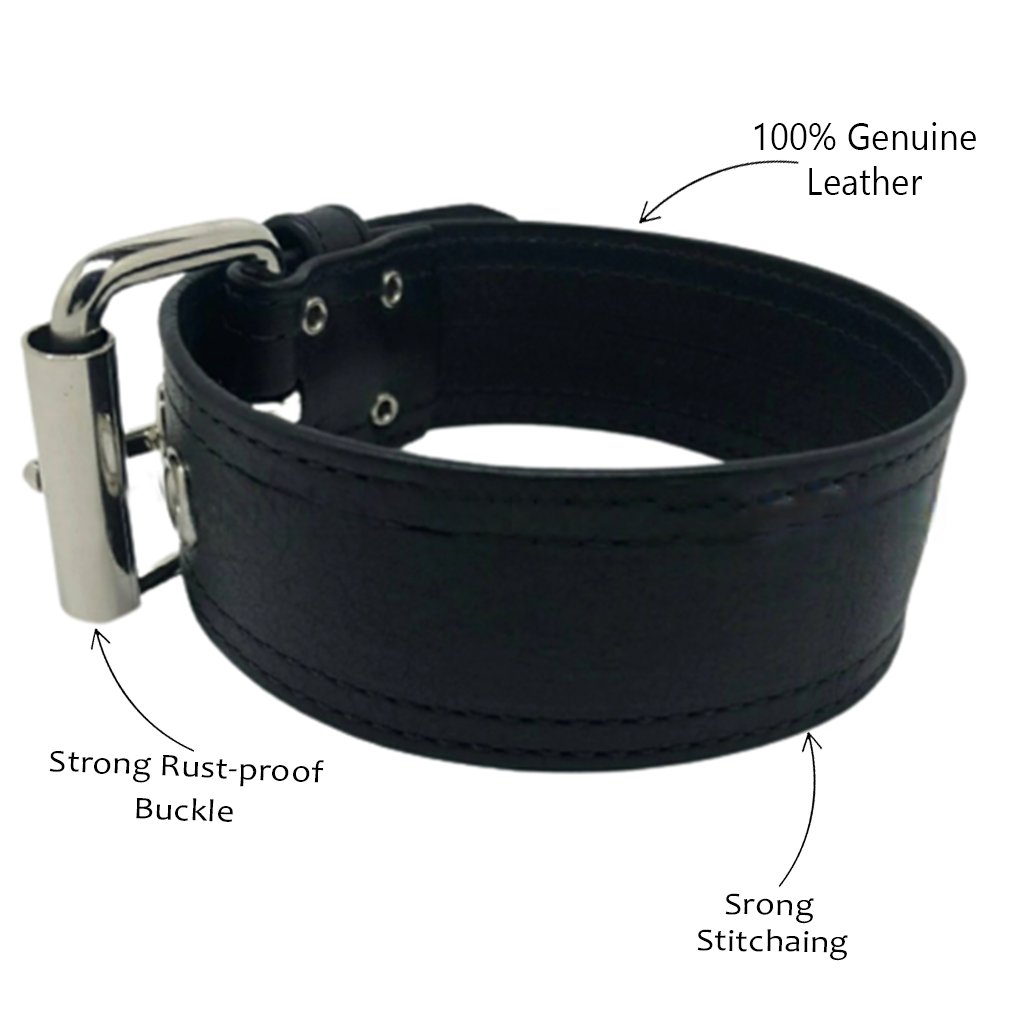 Genuine Leather BDSM Slave Collar