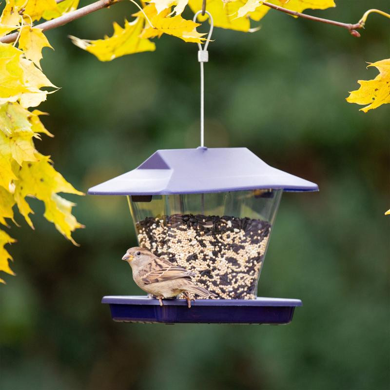 More Birds Perky-Pet Wild Bird 1.7 lb Hopper Bird Feeder Outdoor Seed ...