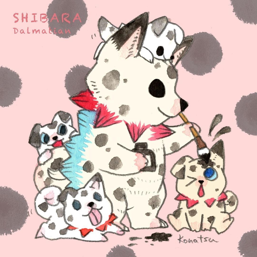 Shibara Dalmation - myplasticheart